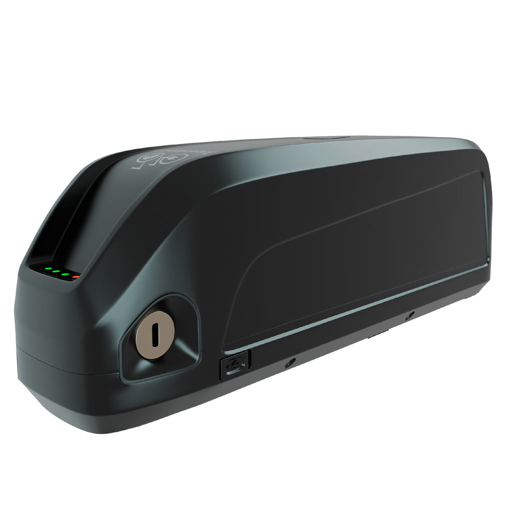 Folding Ebike 48v 20ah Lithium Ion Battery Pack Rechargeable Electric Bike Li-ion Foldable ...